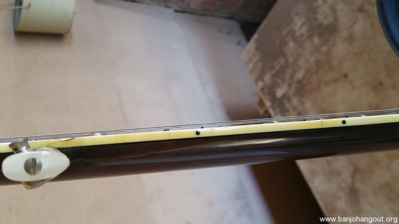 Ty Piper Imperial - Used Banjo For Sale at BanjoBuyer.com