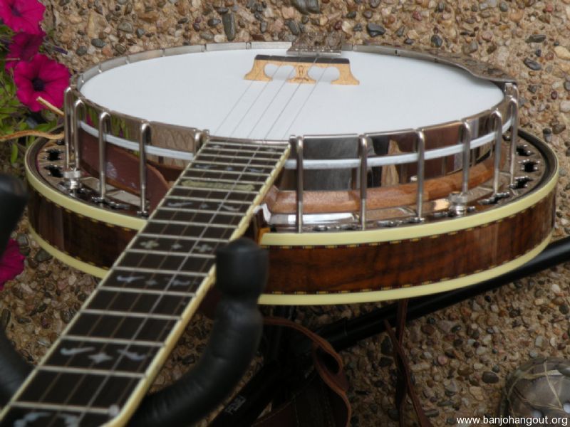 * ON HOLD* STELLING MASTERS CROSS - Used Banjo For Sale at BanjoBuyer.com