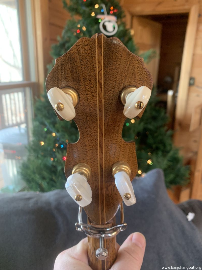 Baldwin ODE D Model - Banjo Hangout