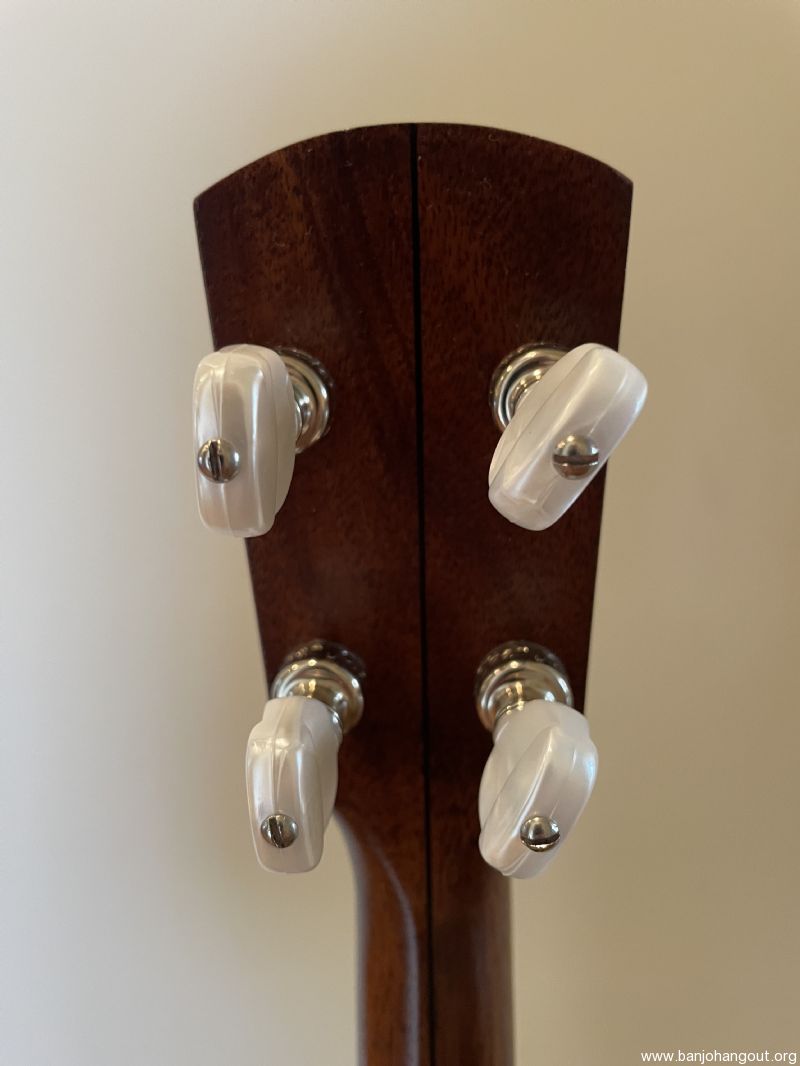 For Sale - Bart Reiter Buckbee Banjo