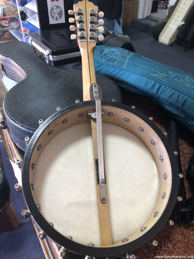 Belltone Banjolin - Banjo Hangout