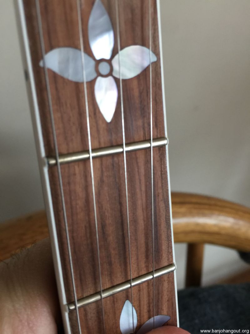 Sullivan Walnut V35 (like new) - Used Banjo For Sale at BanjoBuyer.com