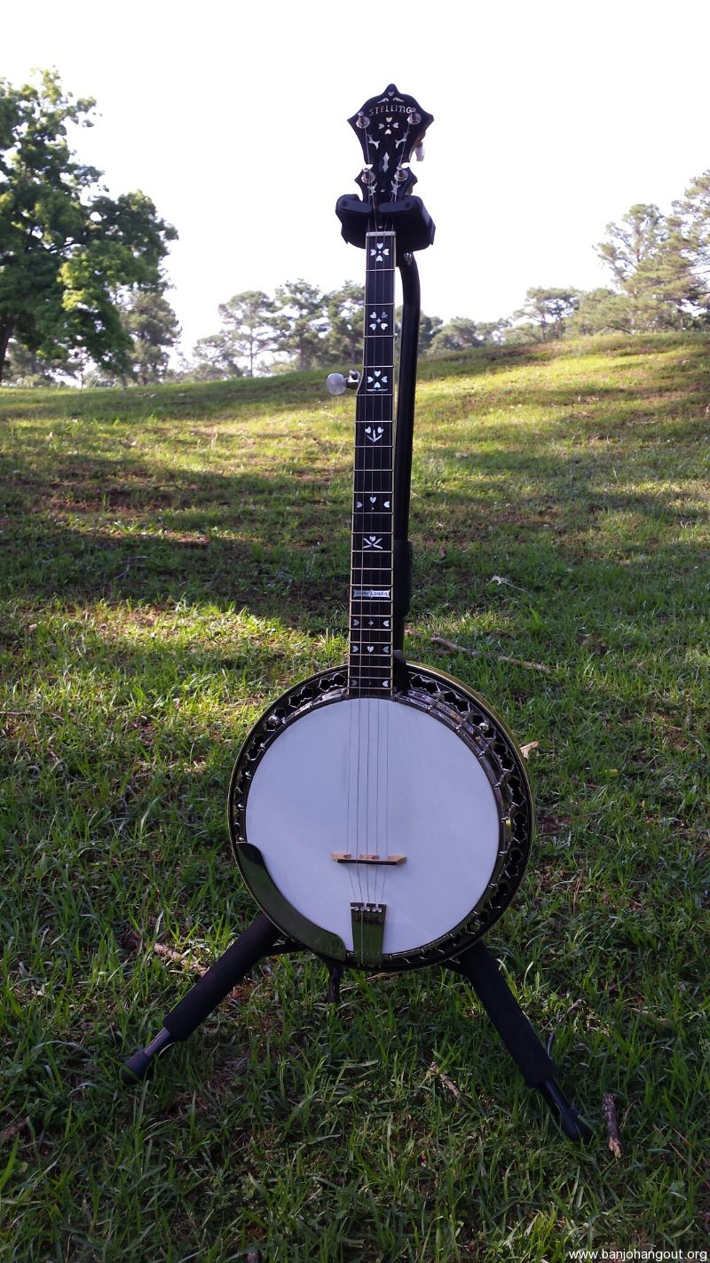 Stelling Sunflower, 2003, Lightly Played - Sold - Used Banjo For Sale ...