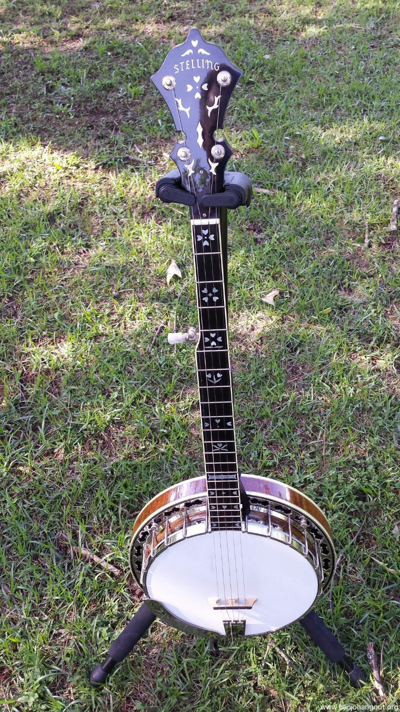 Stelling Sunflower, 2003, Lightly Played - Sold - Used Banjo For Sale ...