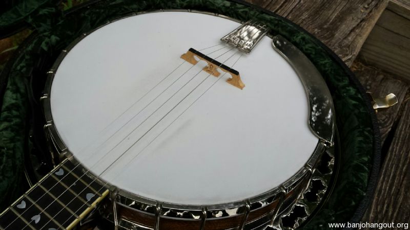Stelling Sunflower, 2003, Lightly Played - Sold - Used Banjo For Sale ...