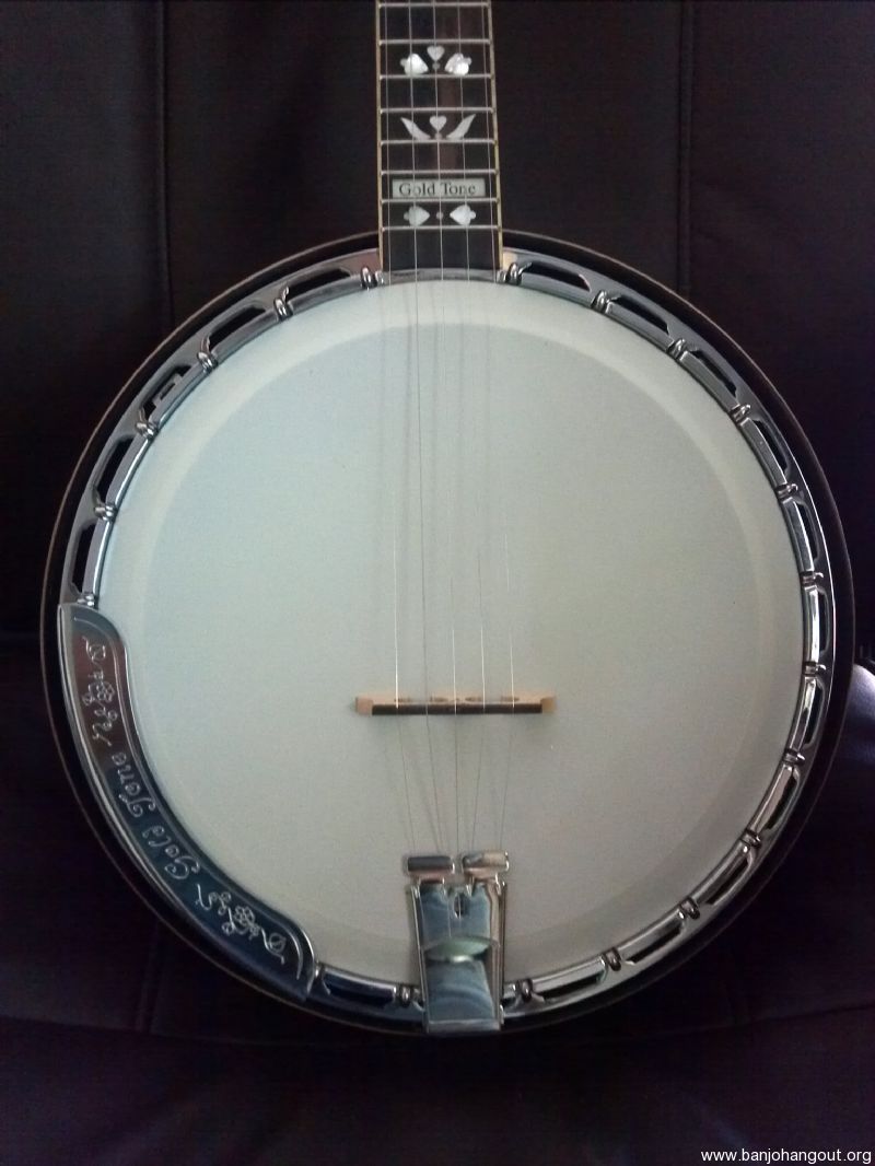 Gold Tone OB-250 Arch Top - Used Banjo For Sale at BanjoBuyer.com