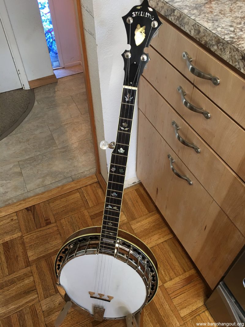 Stelling Red Fox Banjo - Used Banjo For Sale from Banjo Vault