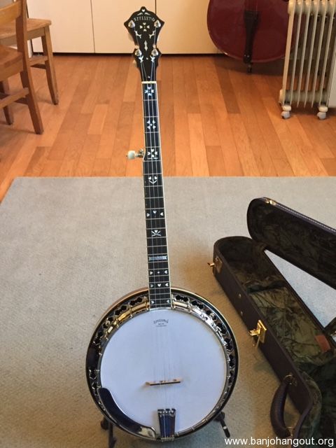 2008 Stelling Sunflower - Used Banjo For Sale at BanjoBuyer.com