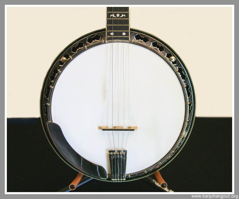BEAUTIFUL STELLING 2001 SWALLOWTAIL BANJO - Used Banjo For Sale at ...