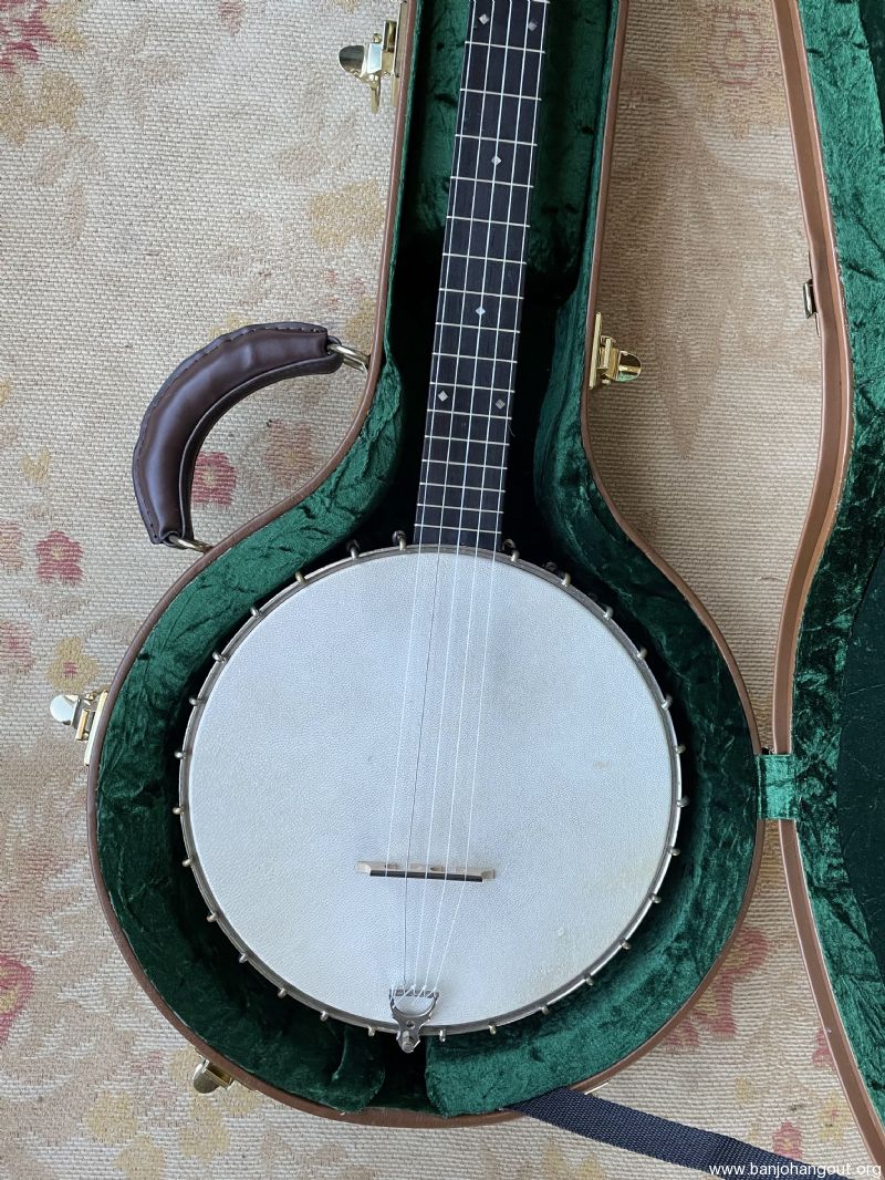 For Sale - SS Stewart Special Thoroughbred