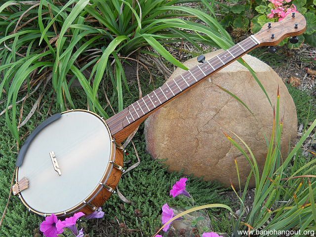 Spalted maple / oak 23" scale 5 string open back - Used Banjo For Sale ...