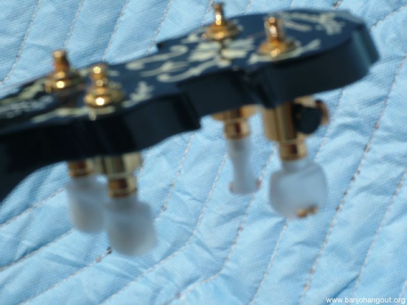 Sigma 5-string banjo - late 70s - Used Banjo For Sale at BanjoBuyer.com