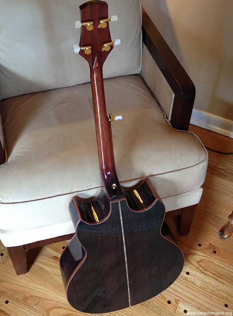 Doc Fosse 5 String Guitar ( Guitar with banjo neck) - Used Banjo For ...