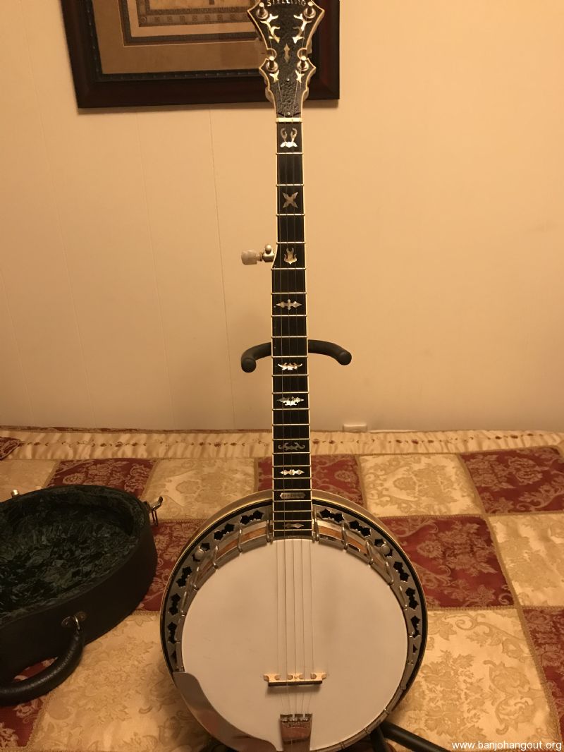 Stelling Staghorn for sale - Used Banjo For Sale at BanjoBuyer.com