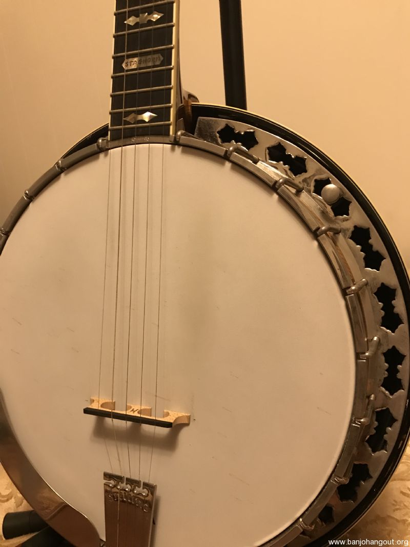 Stelling Staghorn for sale - Used Banjo For Sale at BanjoBuyer.com