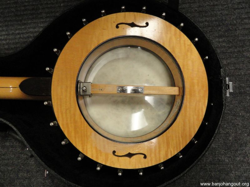 1989 Bart Reiter Professional (Internal Resonator) 5-string Openback ...