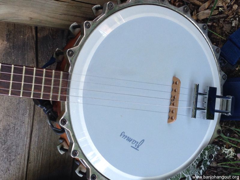 Framus / Contessa 5-stringer - Used Banjo For Sale at BanjoBuyer.com