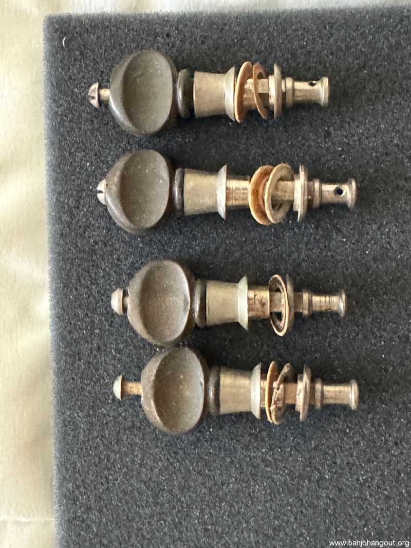 SOLD: Old Champion Friction Tuners - Banjo Hangout