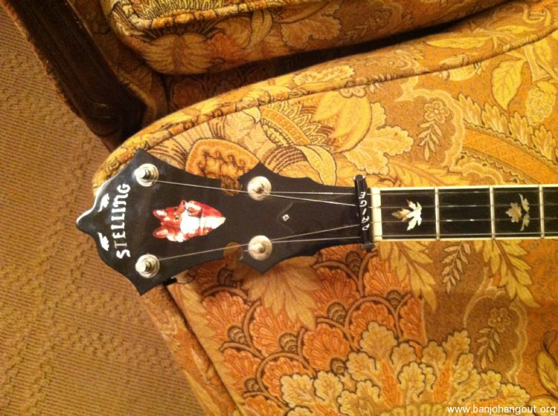 Stelling Red Fox - Used Banjo For Sale from Banjo Vault