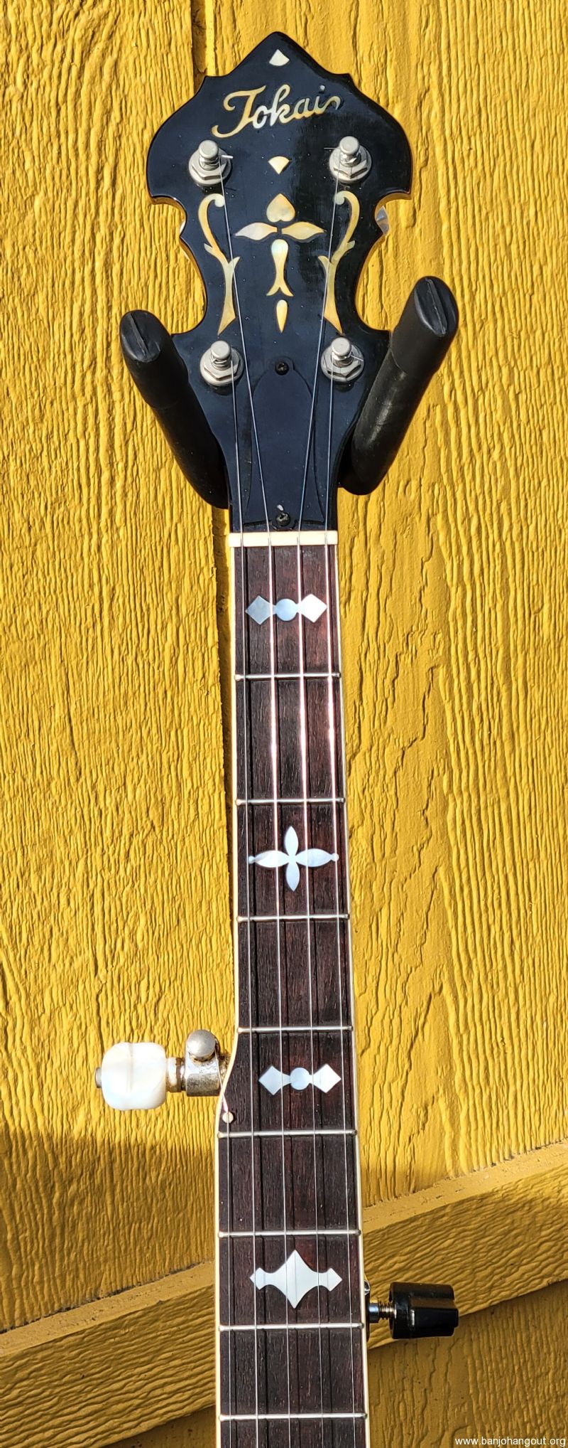 1980 Tokai T850R 5-string Banjo - Used Banjo For Sale at BanjoBuyer.com