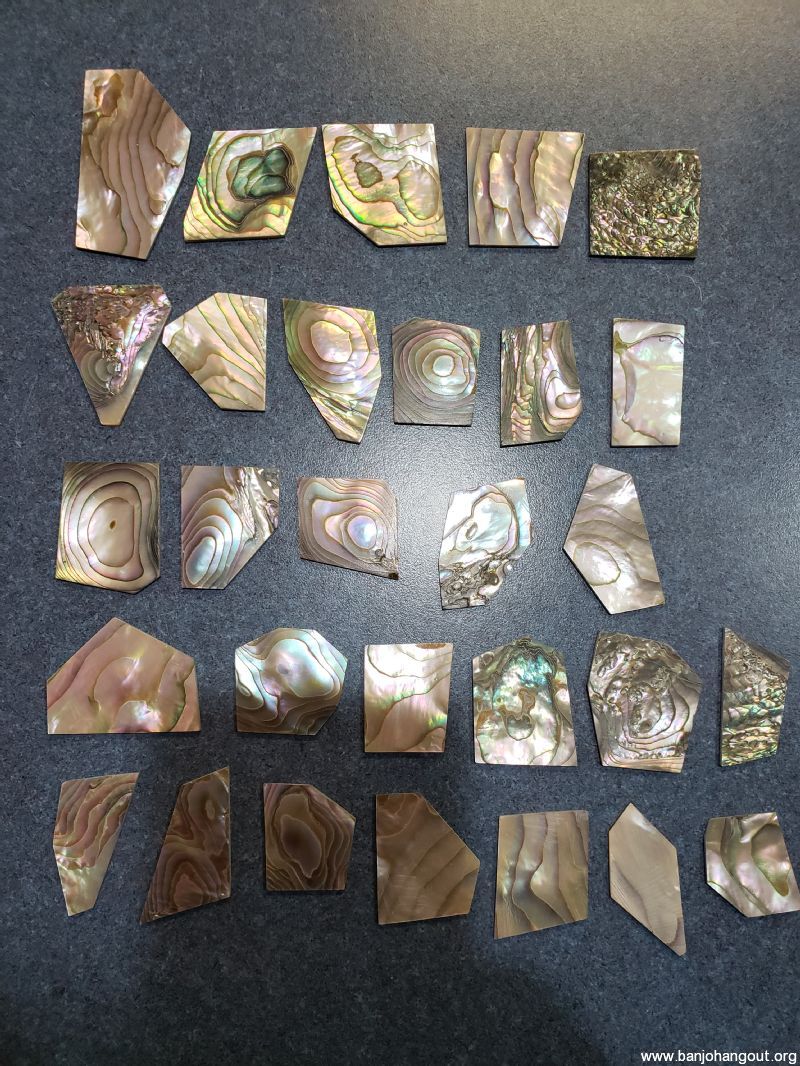 Red Abalone Shell Blanks, 2.9 ozs. - Banjo Hangout