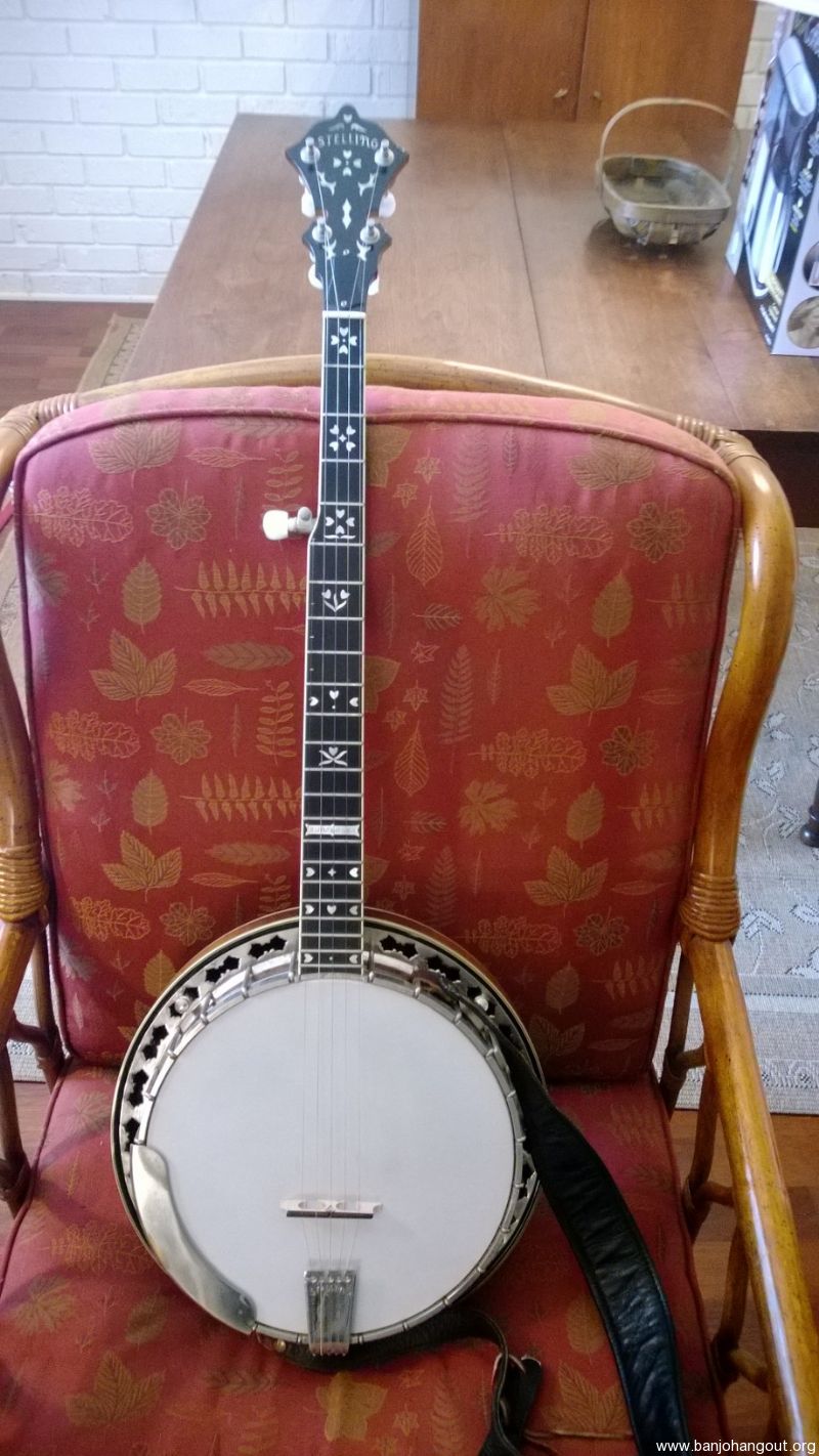 2001 Stelling Sunflower - Used Banjo For Sale at BanjoBuyer.com