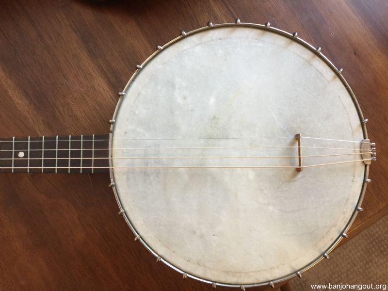Vega Style F 17-Fret Open-Back Tenor Banjo - Used Banjo For Sale at ...
