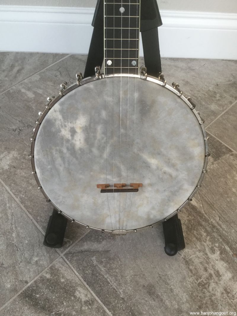 Vega Whyte Laydie Banjo w/ R.M. Anderson Conversion Neck & Hard Case ...