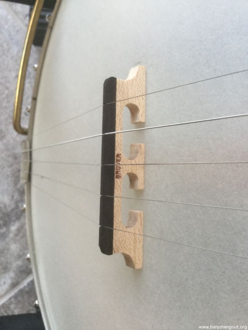Eastman Whyte Laydie - Mint Condition: Free FedEx Shipping - Used Banjo ...