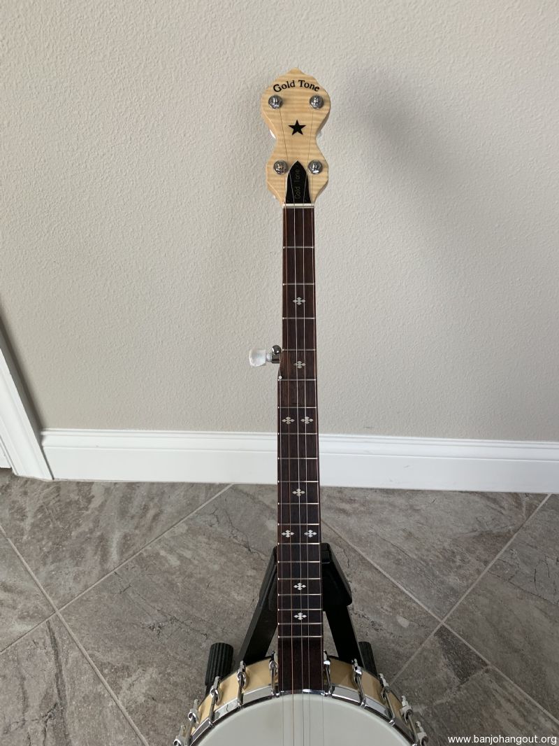 Gold Tone MM-150 White Lady Maple Banjo & Gold Tone HPD Heavy Duty Gig ...