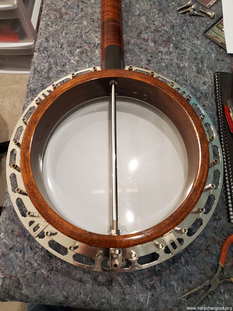 Cox Kentucky 5 Curly Maple Banjo - Used Banjo For Sale at BanjoBuyer.com