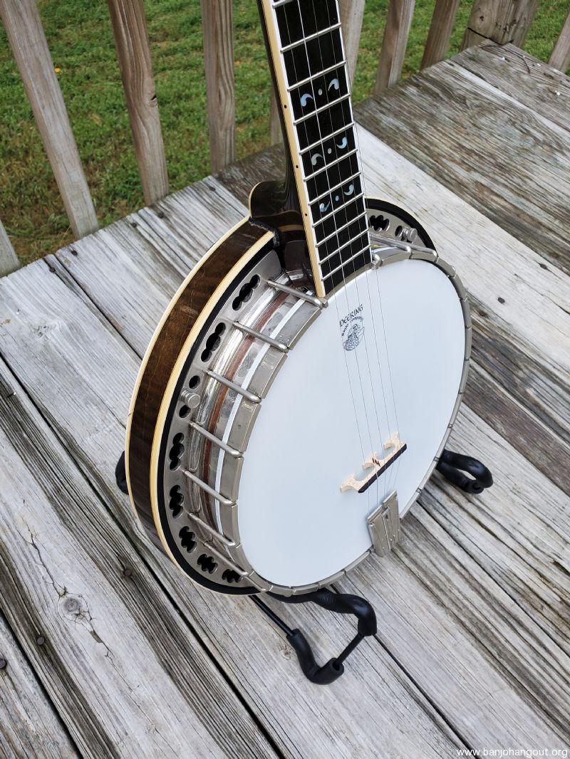 Deering Maple Blossom Curly Maple Banjo - Used Banjo For Sale at ...