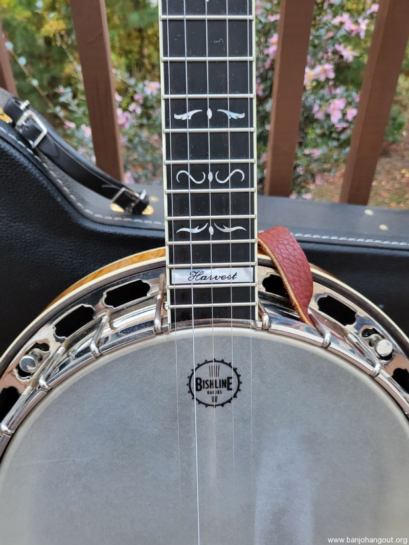 2017 Bishline Harvest Curly Maple Banjo (pending) - Used Banjo For Sale ...