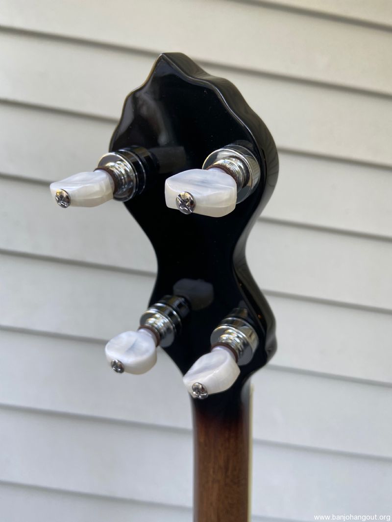 Gold Tone WL-250 White Ladye Banjo - Mint Condition - Sale Pending ...