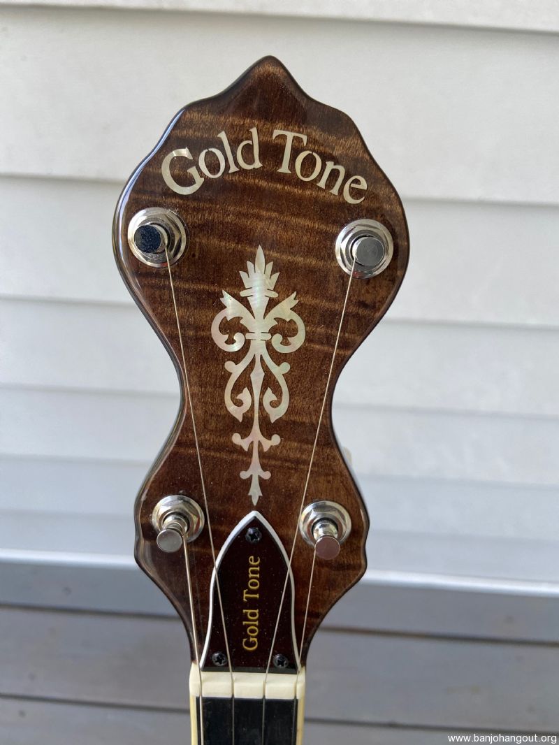 Gold Tone WL-250 White Ladye Banjo - Mint Condition - Sale Pending ...