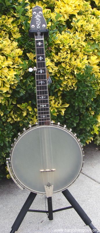 GOLD TONE CEB-5 CELLO BANJO - Used Banjo For Sale at BanjoBuyer.com