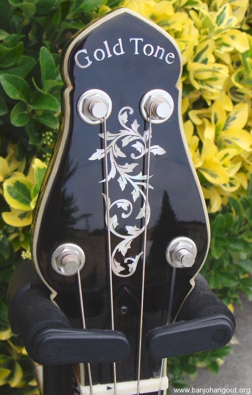 GOLD TONE CEB-5 CELLO BANJO - Used Banjo For Sale at BanjoBuyer.com