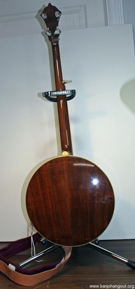 Stelling Bellflower 5-String Banjo - Used Banjo For Sale at BanjoBuyer.com