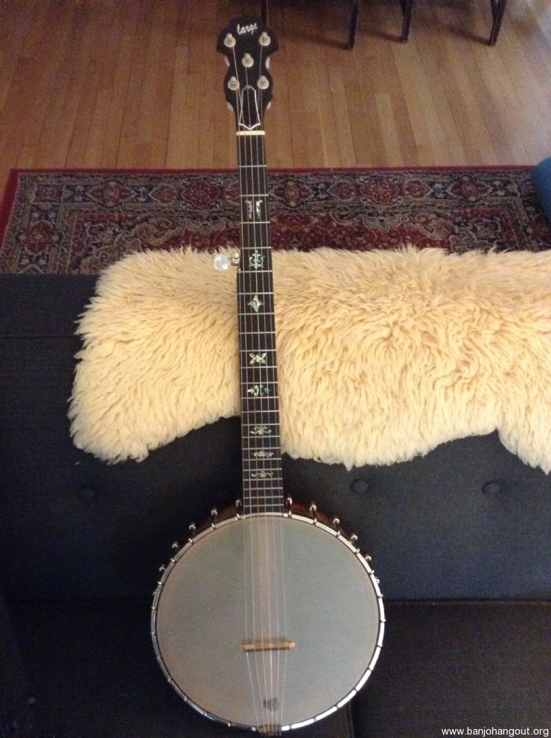 For Sale - David Large 6-string open back banjo (not guitjo)