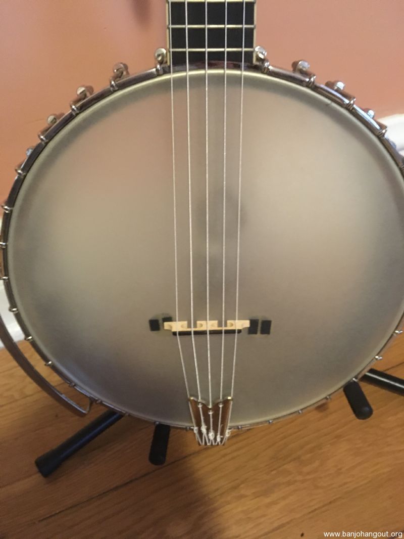 Cello Banjo - Gold Tone CEB-5 5-String Openback with K&K pickup and ...