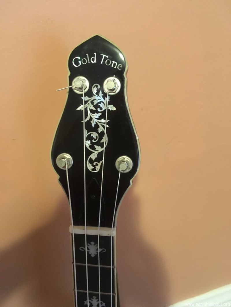 Cello Banjo - Gold Tone CEB-5 5-String Openback with K&K pickup and ...