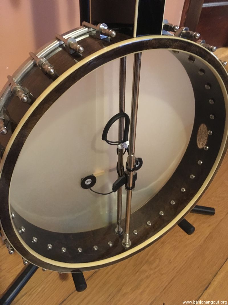 Cello Banjo - Gold Tone CEB-5 5-String Openback with K&K pickup and ...