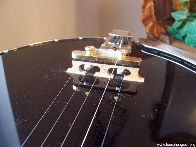 Mike's Banjo Mute - Banjo Hangout