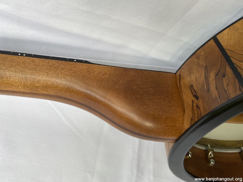 Spalted Maple Internally Tensioned Nylgut Strung Flush Fret Open Back ...