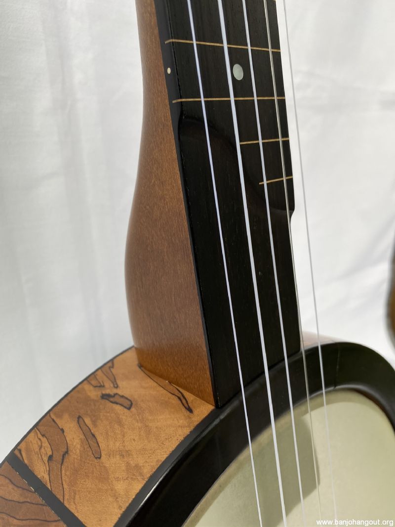 For Sale - Spalted Maple Internally Tensioned Nylgut Strung Flush Fret ...