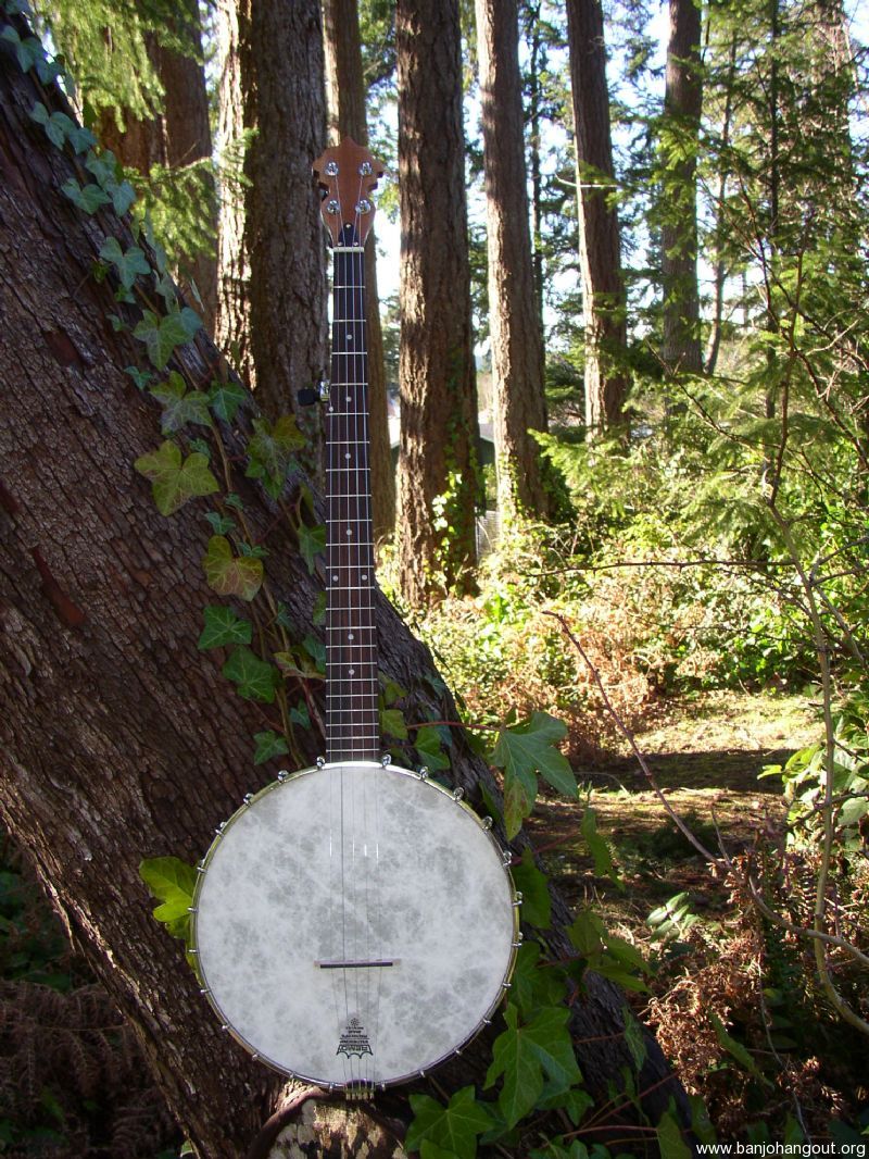 Custom Open Back 5 String Banjo - Used Banjo For Sale at BanjoBuyer.com
