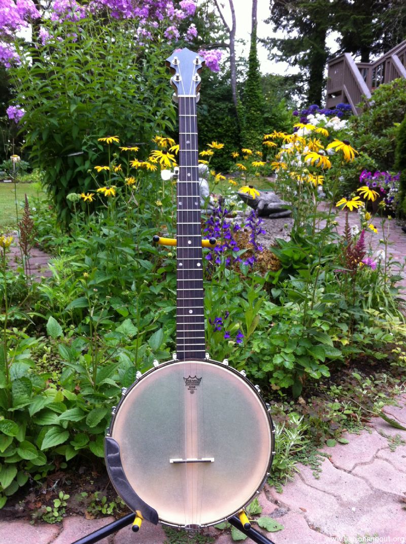 New Custom Open Back 5 String Banjo (reasonable offers considered ...