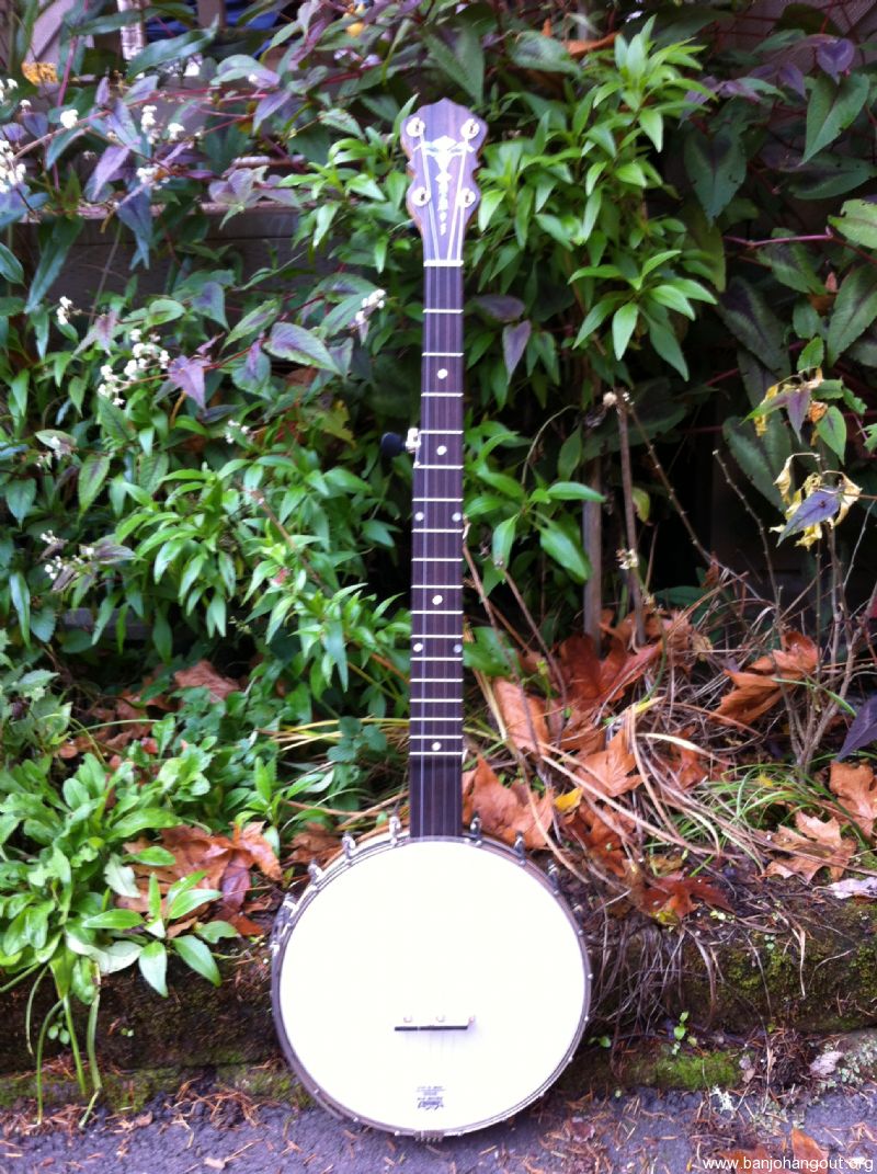 Bird'seye & Flame Maple Open Back 5 String Banjo - Used Banjo For Sale ...