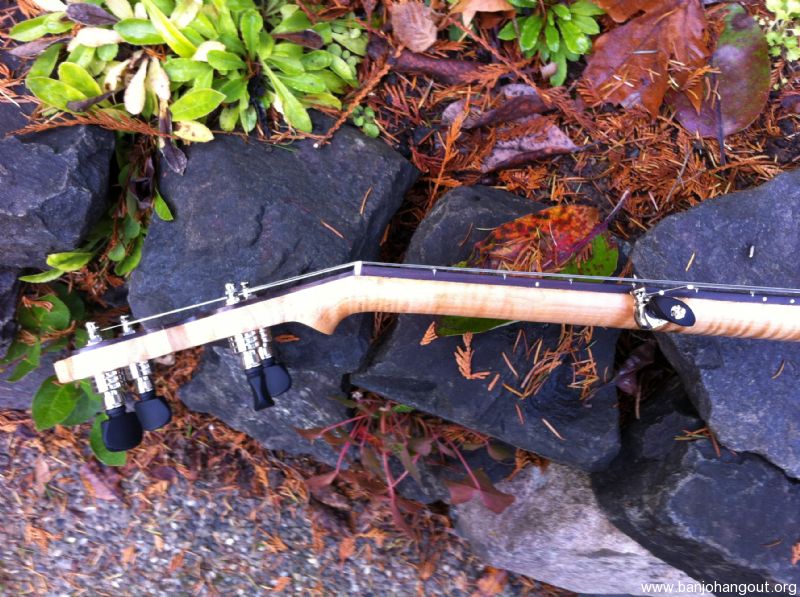 Bird'seye & Flame Maple Open Back 5 String Banjo - Used Banjo For Sale ...