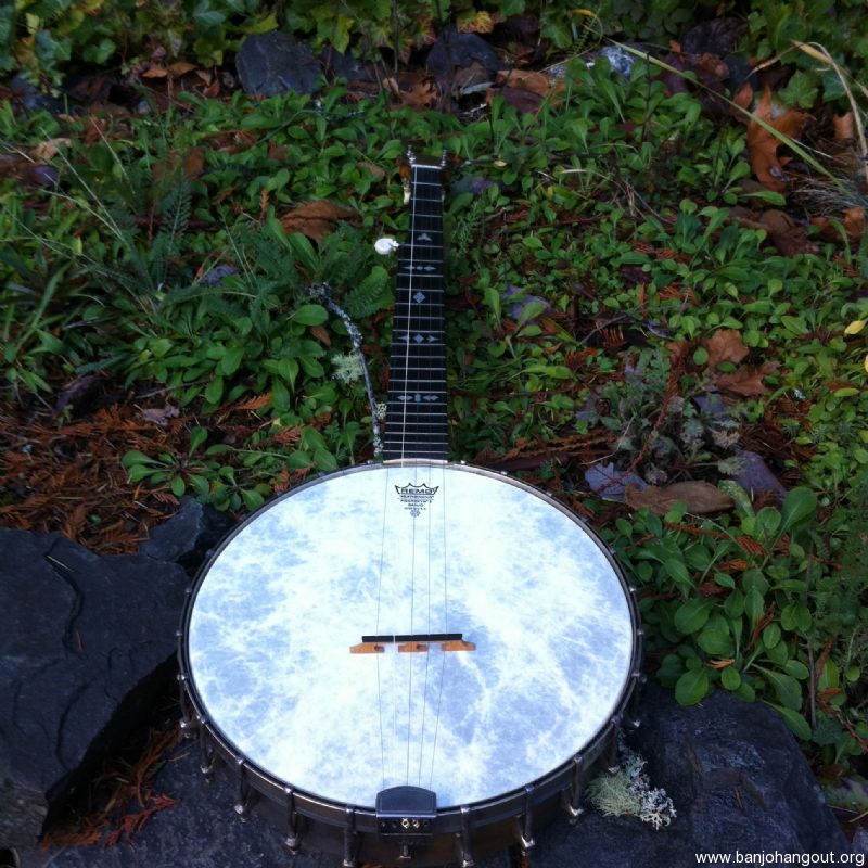 Old Antique Vintage Circa 1890's 5 String Banjo - Used Banjo For Sale ...